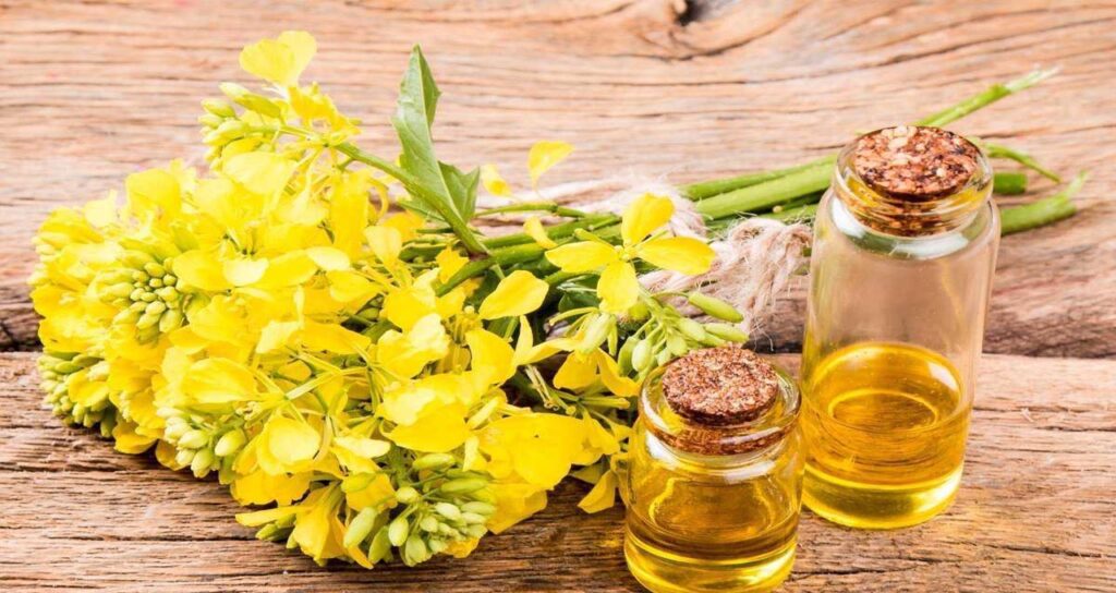 Refined Rapeseed Oil – DAMT Business Group